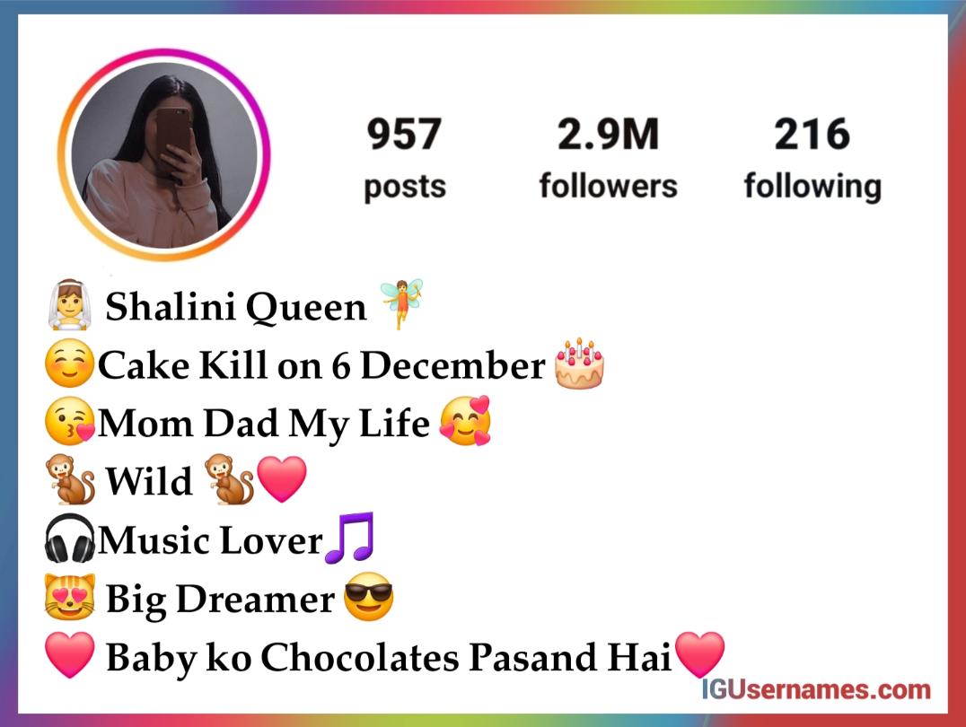 1005+ Best Instagram Bio For Girls - Attitude & Stylish Bios 2025 - IG ...